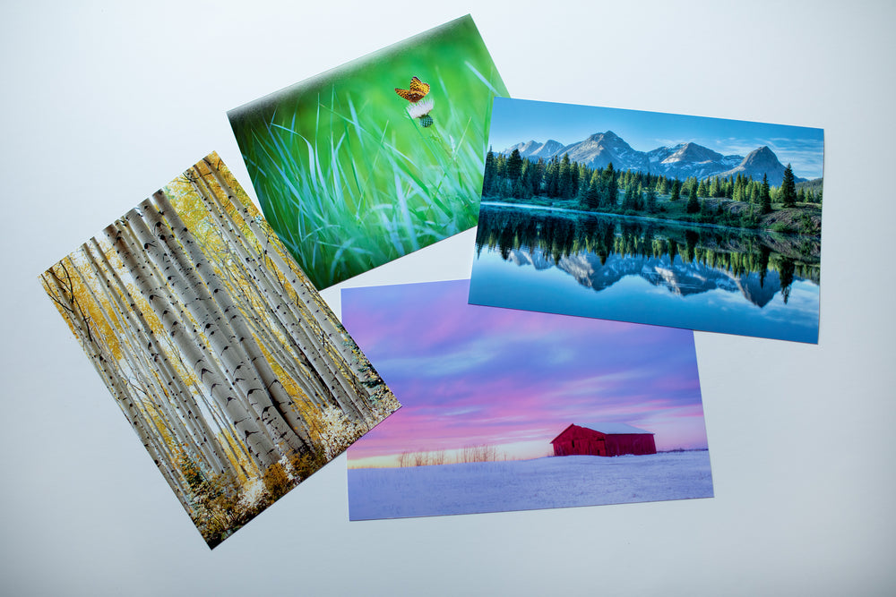 Molas Lake Sunrise - 12x18 matted lustre print in a custom built 18x24 ...